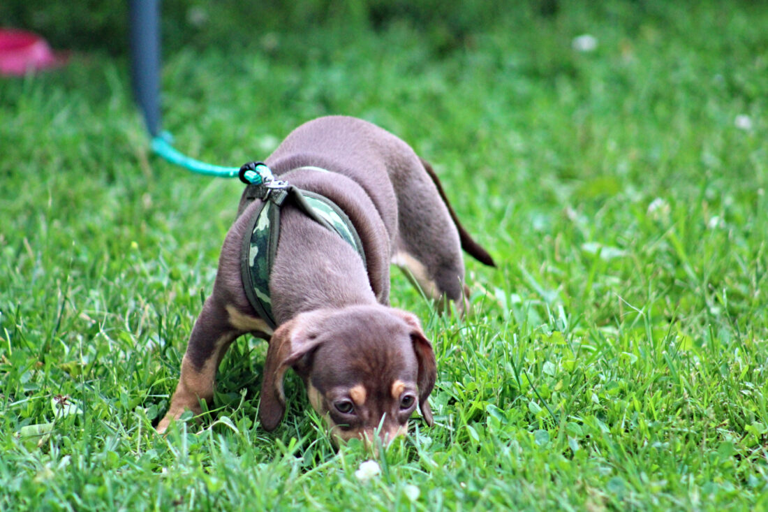 Riverfest 2025 a big hit in Woodward Township | News, Sports, Jobs ...